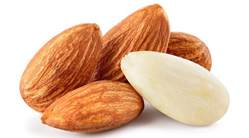 Árbol almendro: La guía de cultivo del árbol almendro definitiva