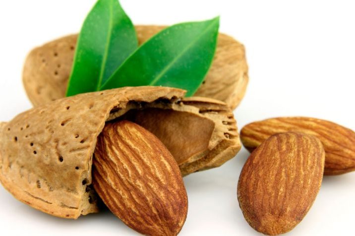Árbol almendro: La guía de cultivo del árbol almendro definitiva