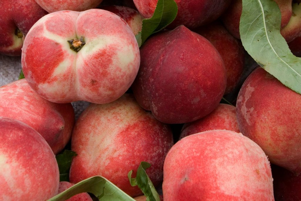 Árbol de duraznos: La mejor guía de cultivo del árbol de duraznos