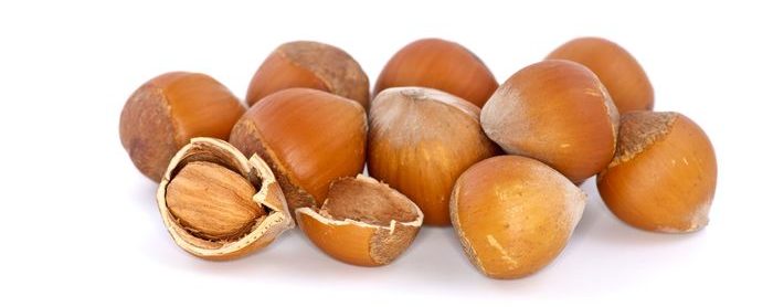 Planta avellano: La guía de cultivo de la planta avellano definitiva