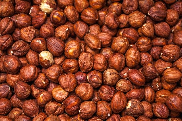 Planta avellano: La guía de cultivo de la planta avellano definitiva