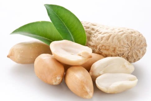 Planta de maní: La guía de cultivo de la planta de maní definitiva